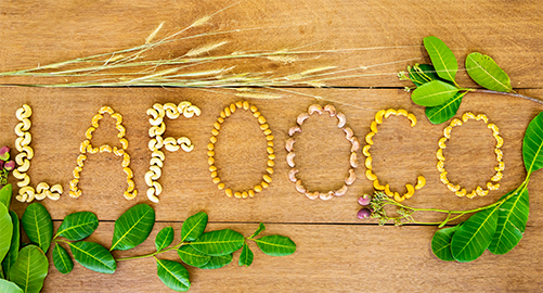 With the love for cashew, an insight for unique characteristics of nuts ...